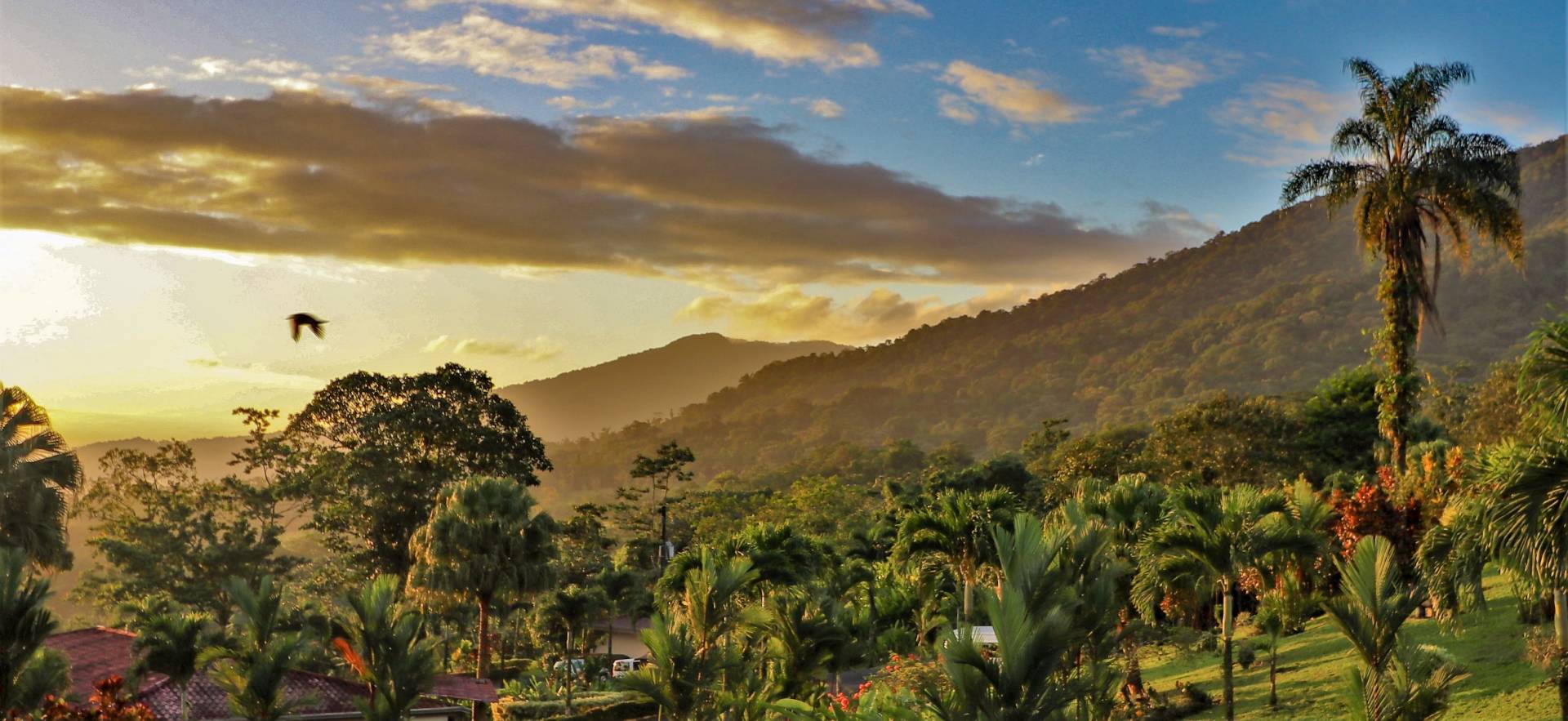 11-day tour package in Costa Rica - Flight included - Wingbuddy travel ...